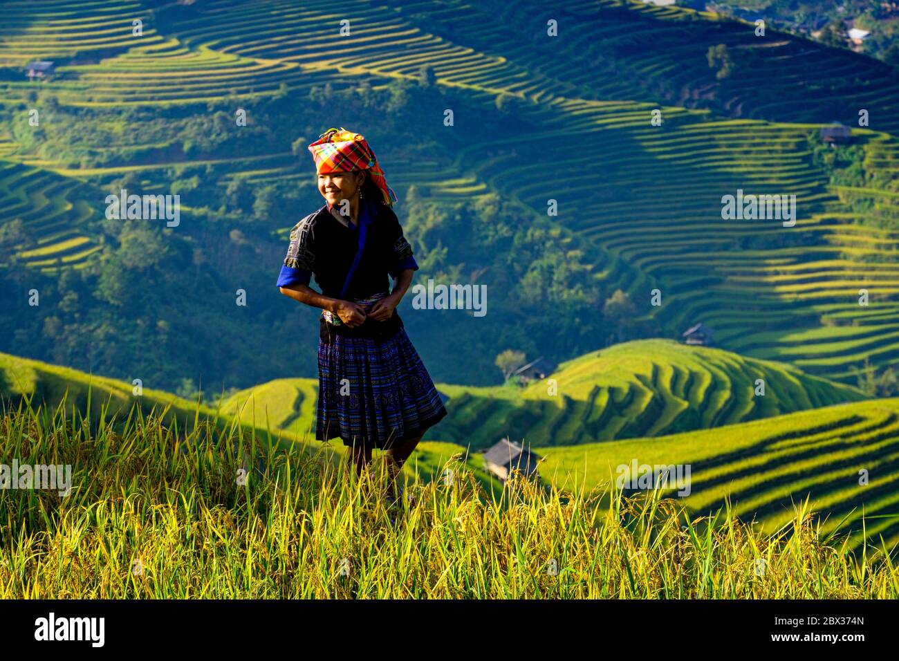 Vietnam, Yen Bai province, Mu Cang Chai, Hmong ethnic group woman in ...