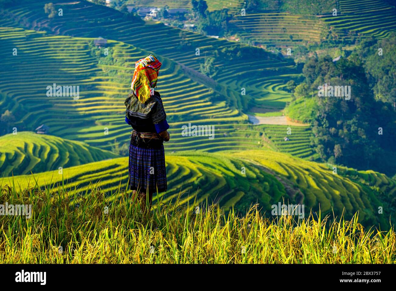 Vietnam, Yen Bai province, Mu Cang Chai, Hmong ethnic group woman in ...