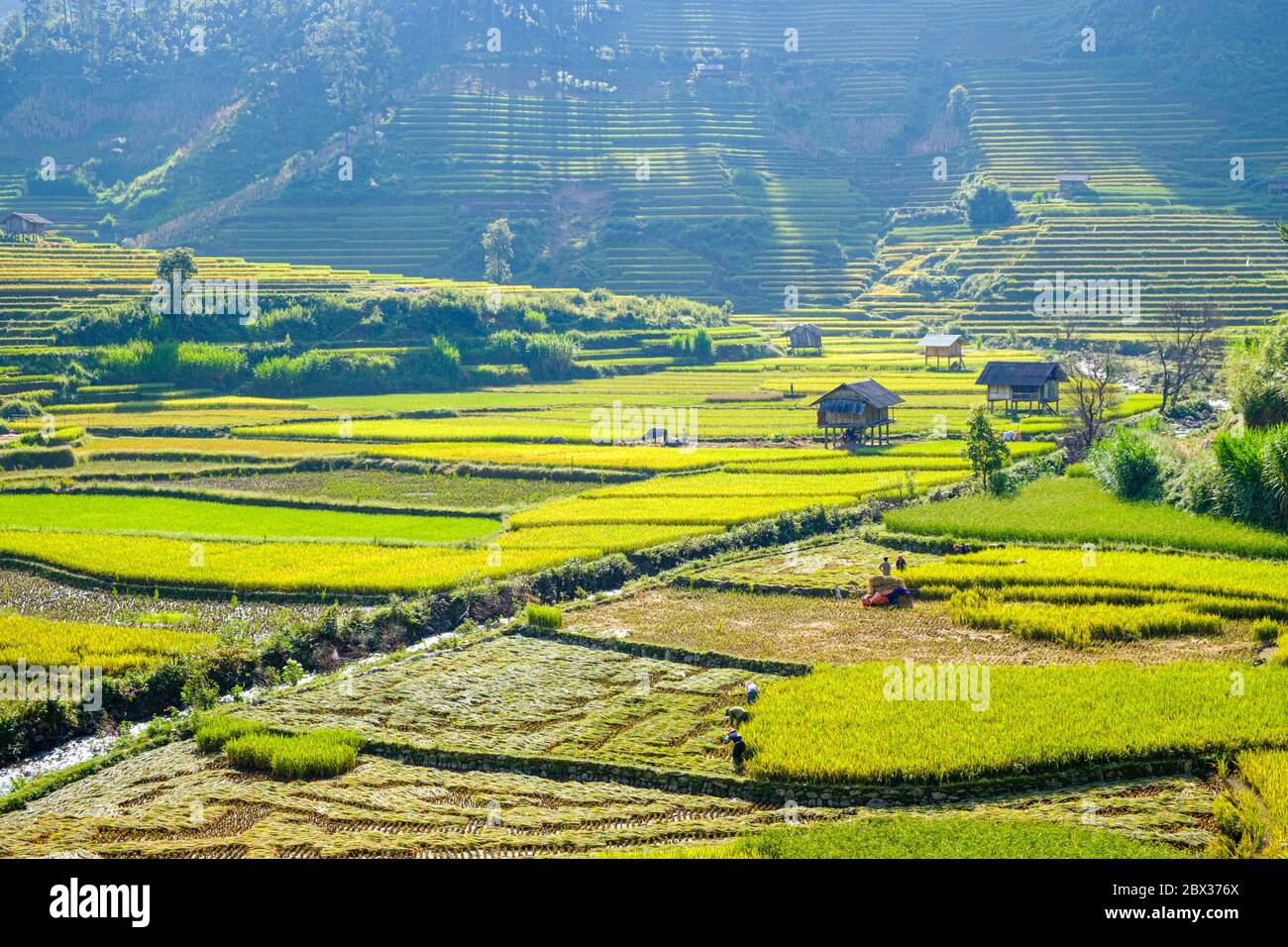 Vietnam, Yen Bai province, Mu Cang Chai, Hmong ethnic group people in ...