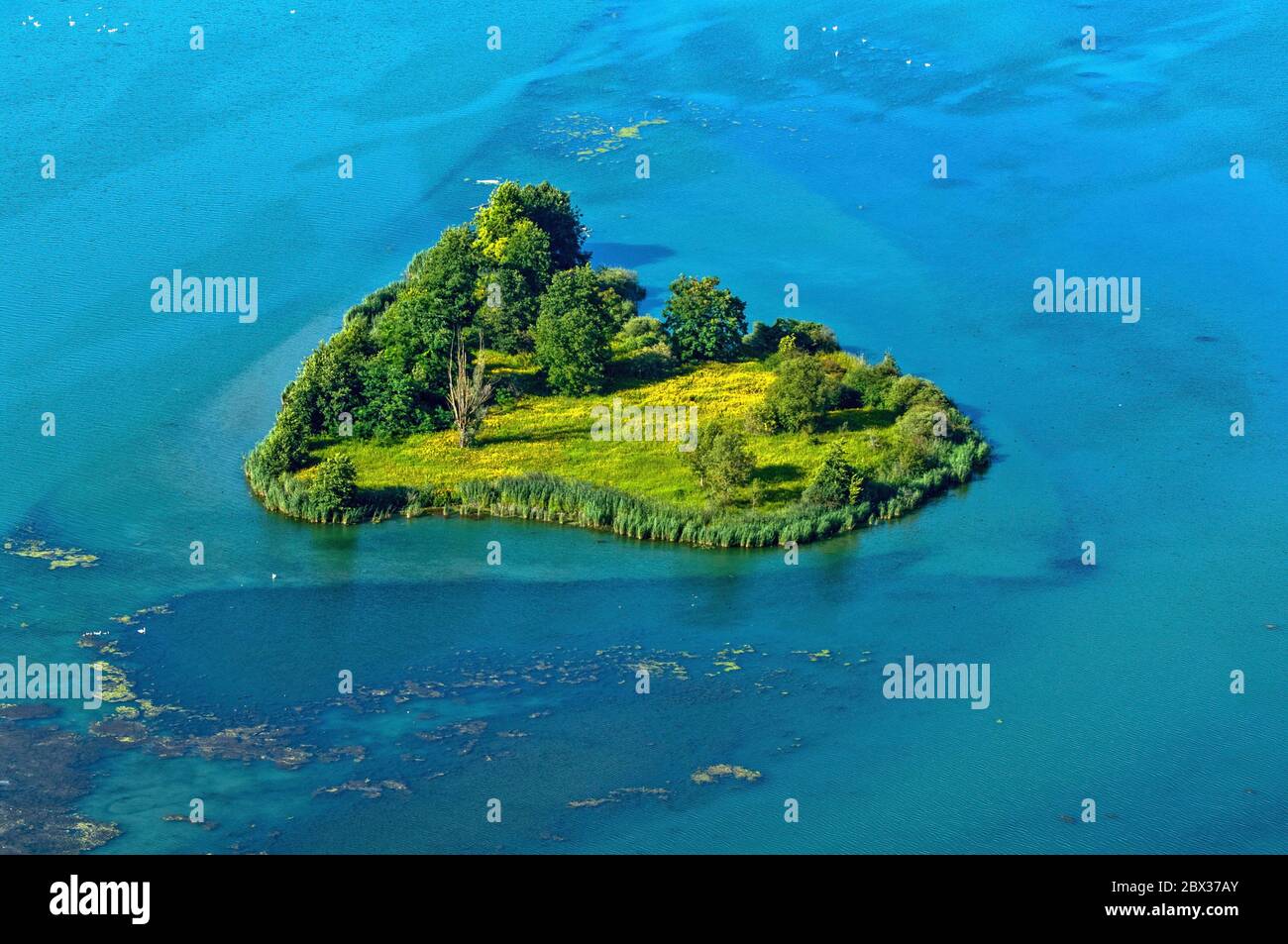 France, Ain (01), Bugey, aerial view, Massignieu-de-Rives, l'île aux ...