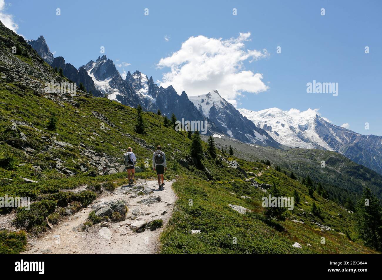 France, Haute Savoie, Chamonix-Mont-Blanc, Massif du Mont Blanc, hike ...