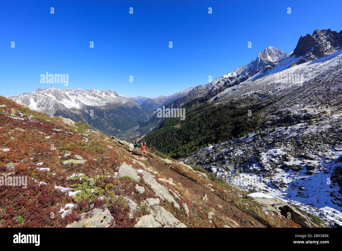 France, Haute Savoie, Chamonix-Mont-Blanc, Massif du Mont Blanc, trail ...