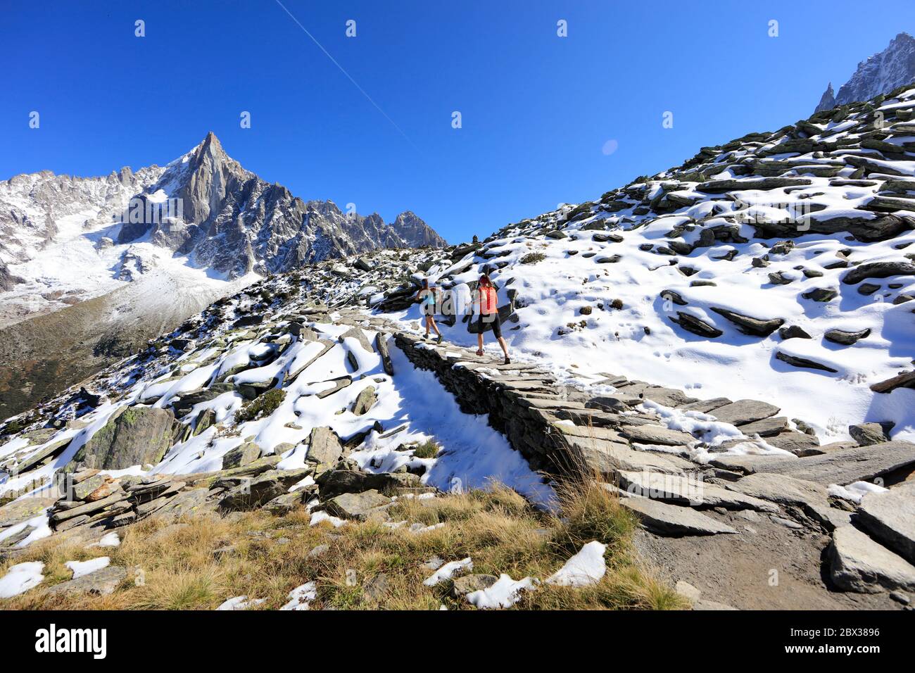 France, Haute Savoie, Chamonix-Mont-Blanc, Massif du Mont Blanc, trail ...