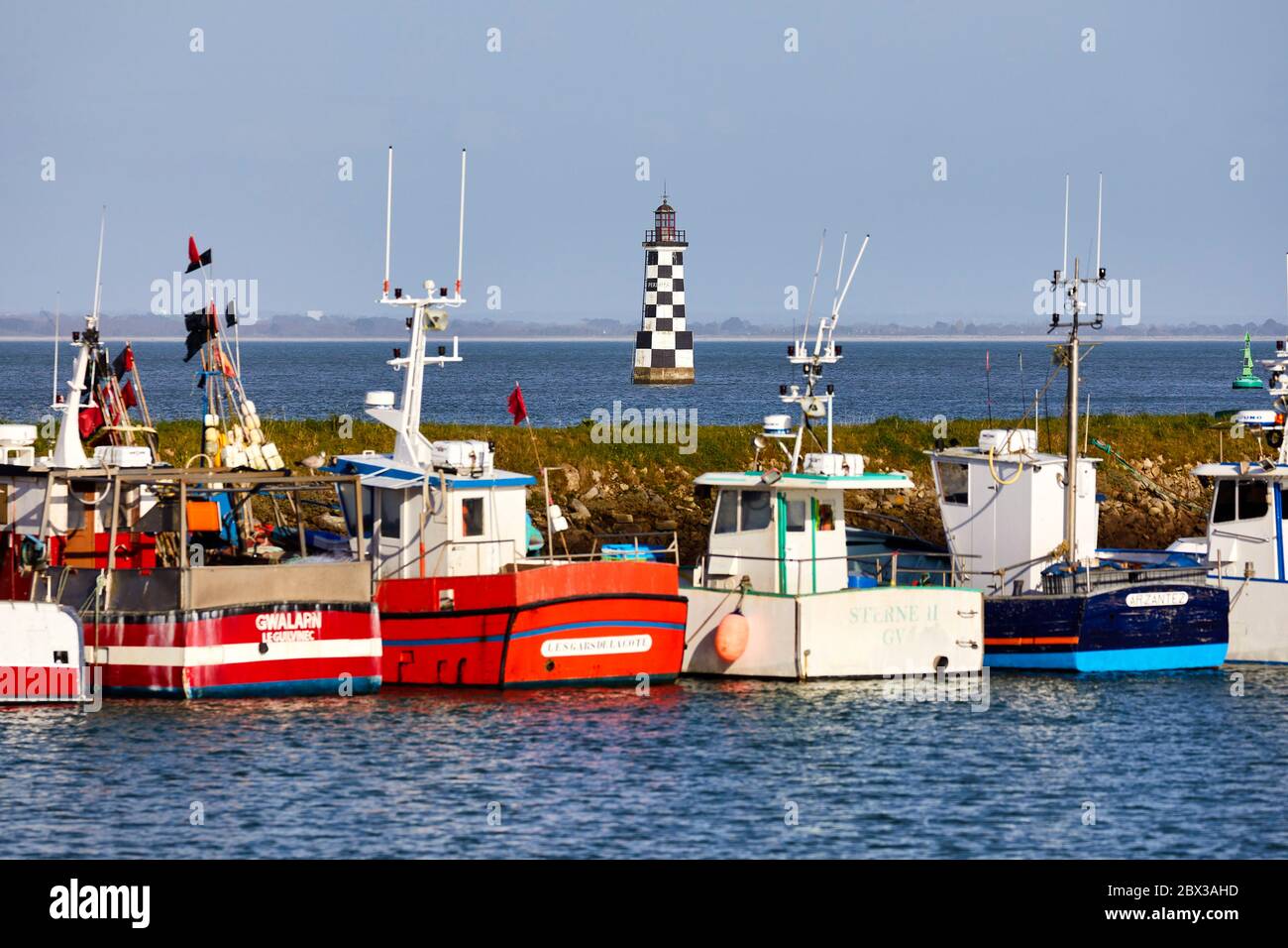 Les perdrix hi-res stock photography and images - Alamy