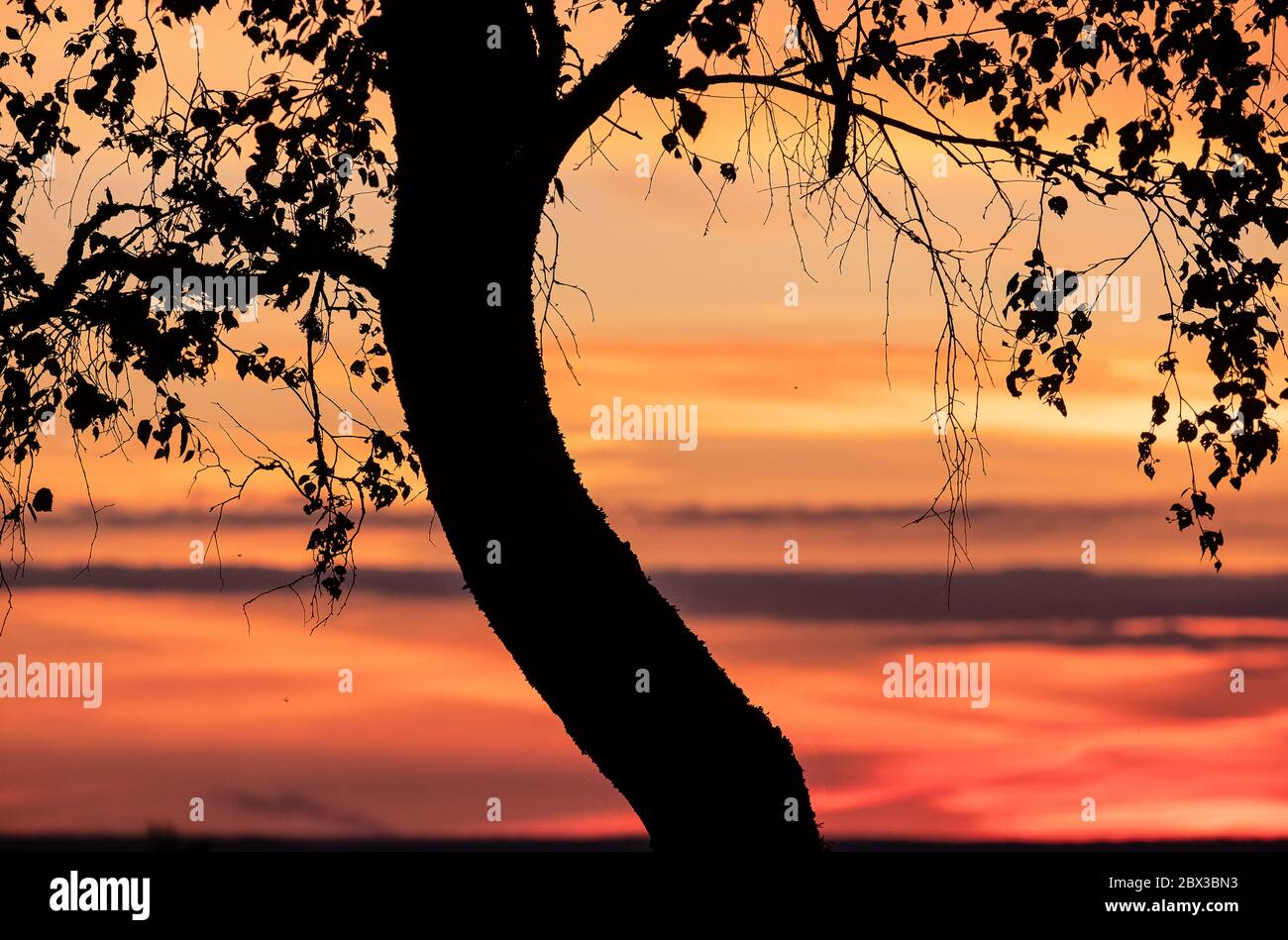 Surrey Hills Sunset Stock Photo - Alamy