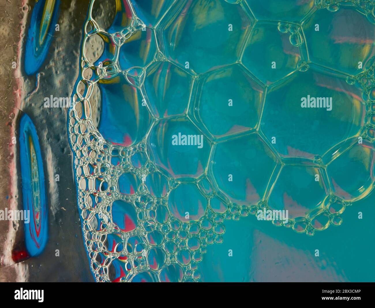 Colourful bubbles still=life symbolising the myriad patterns of human ...