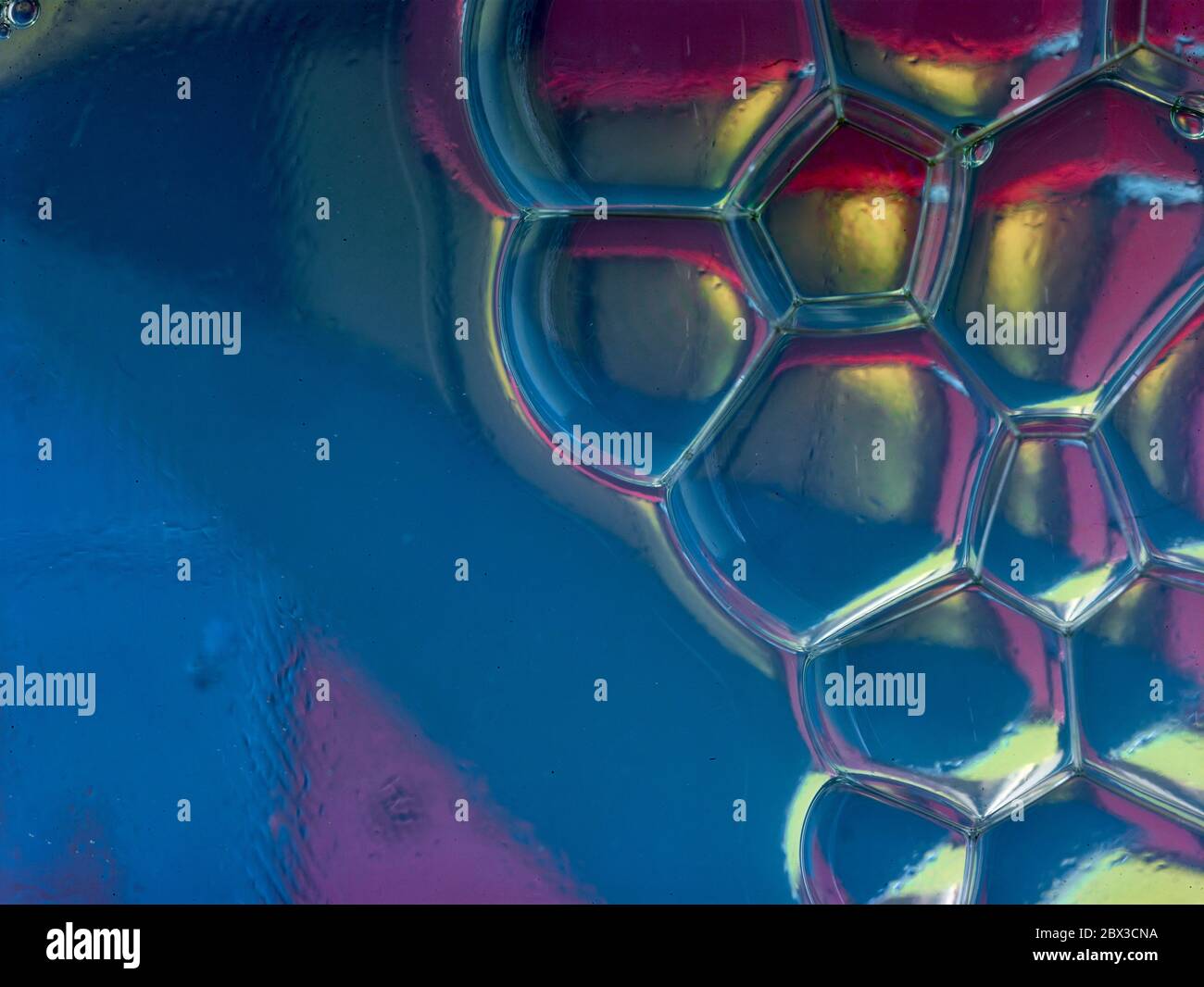 Colourful bubbles still=life symbolising the myriad patterns of human ...