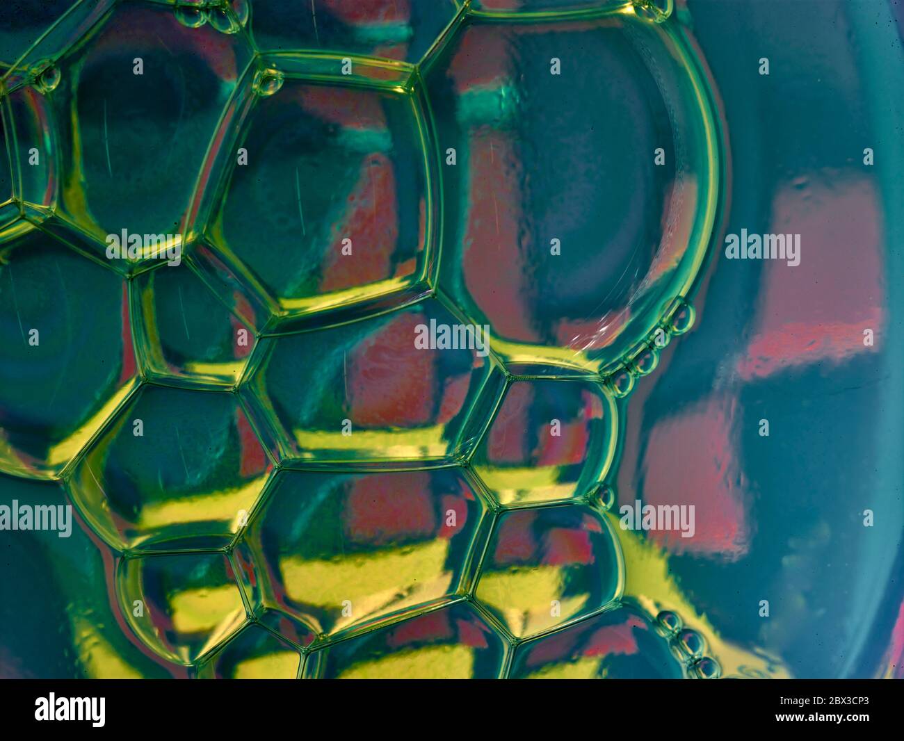 Colourful bubbles still=life symbolising the myriad patterns of human ...