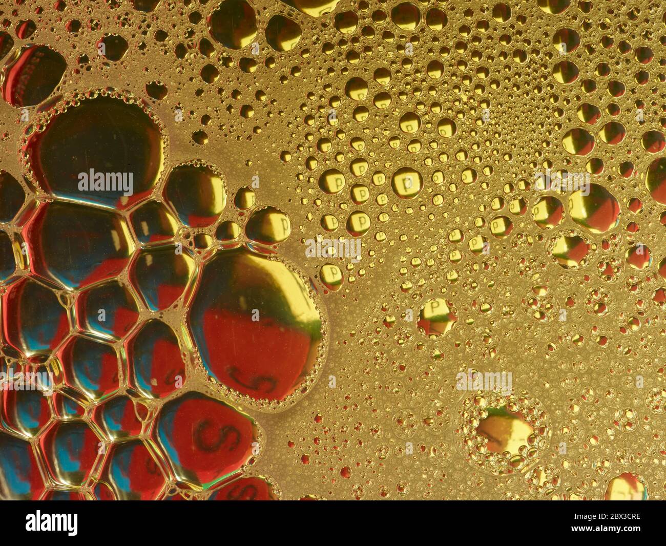 Colourful bubbles still=life symbolising the myriad patterns of human ...