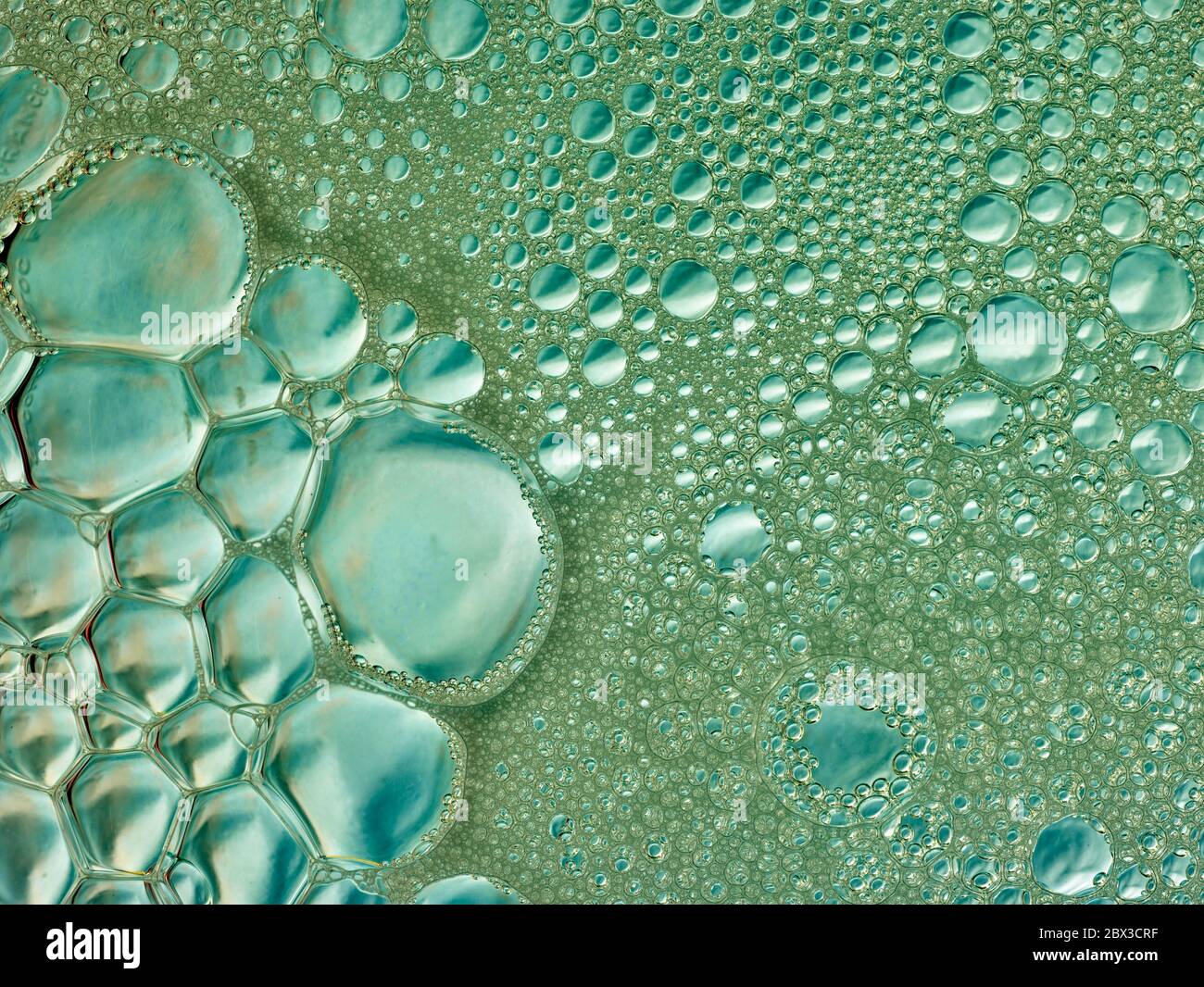 Transient beings hi-res stock photography and images - Alamy