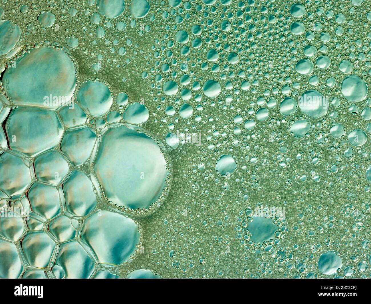 Colourful bubbles still=life symbolising the myriad patterns of human ...