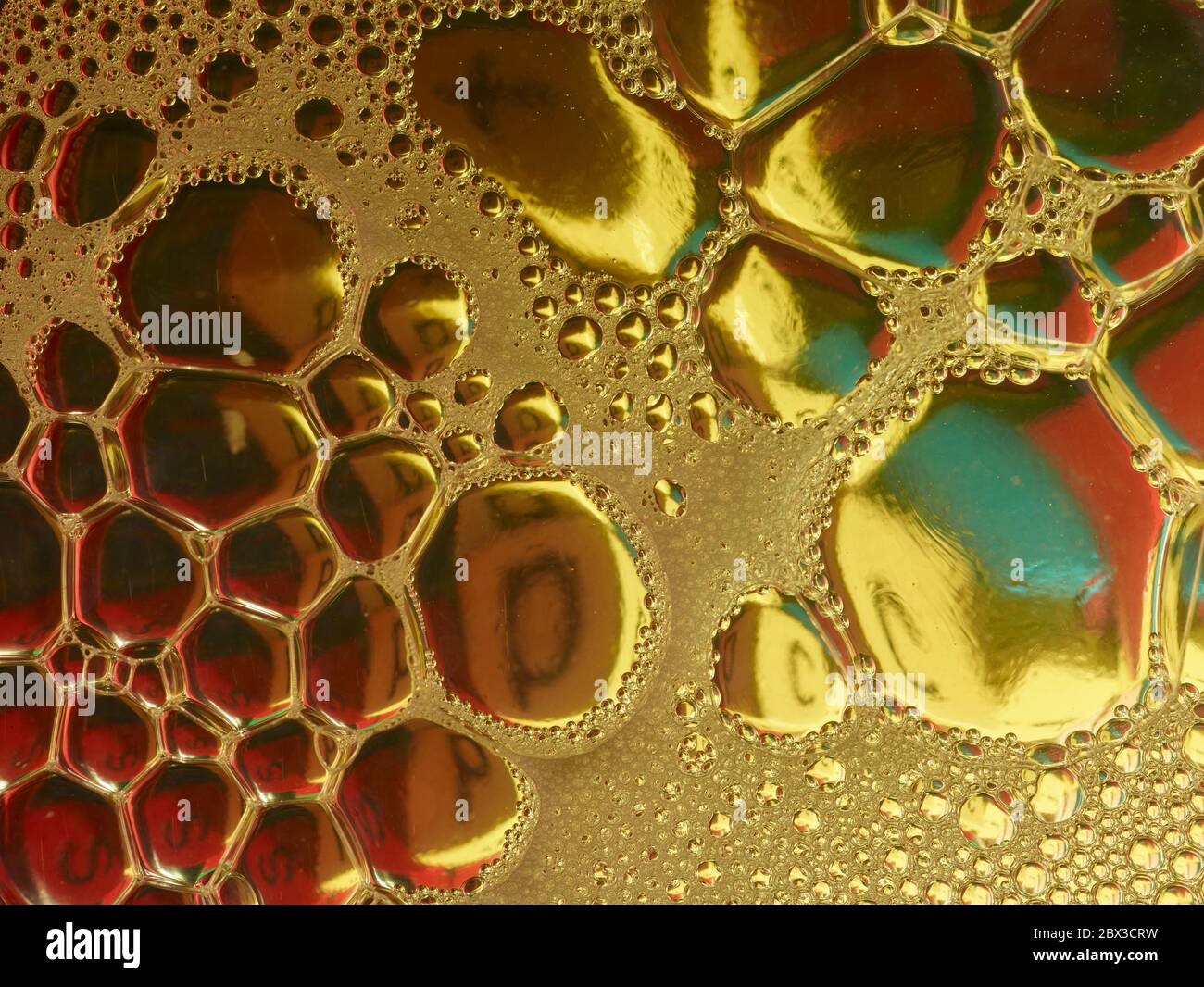 Colourful bubbles still=life symbolising the myriad patterns of human ...