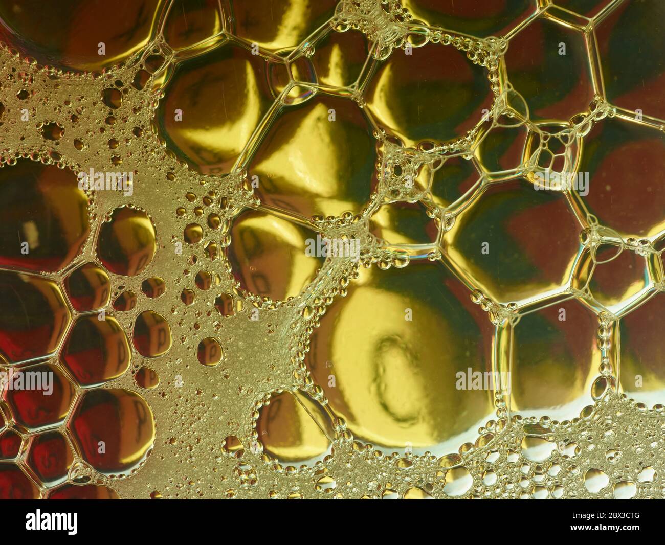 Colourful bubbles still=life symbolising the myriad patterns of human ...