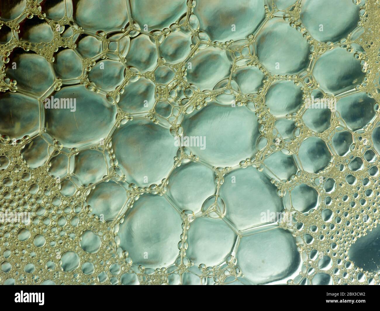 Colourful bubbles still=life symbolising the myriad patterns of human ...