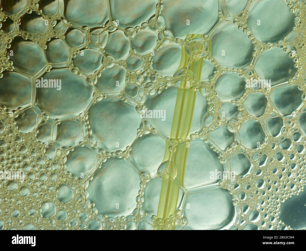 Colourful bubbles still=life symbolising the myriad patterns of human ...