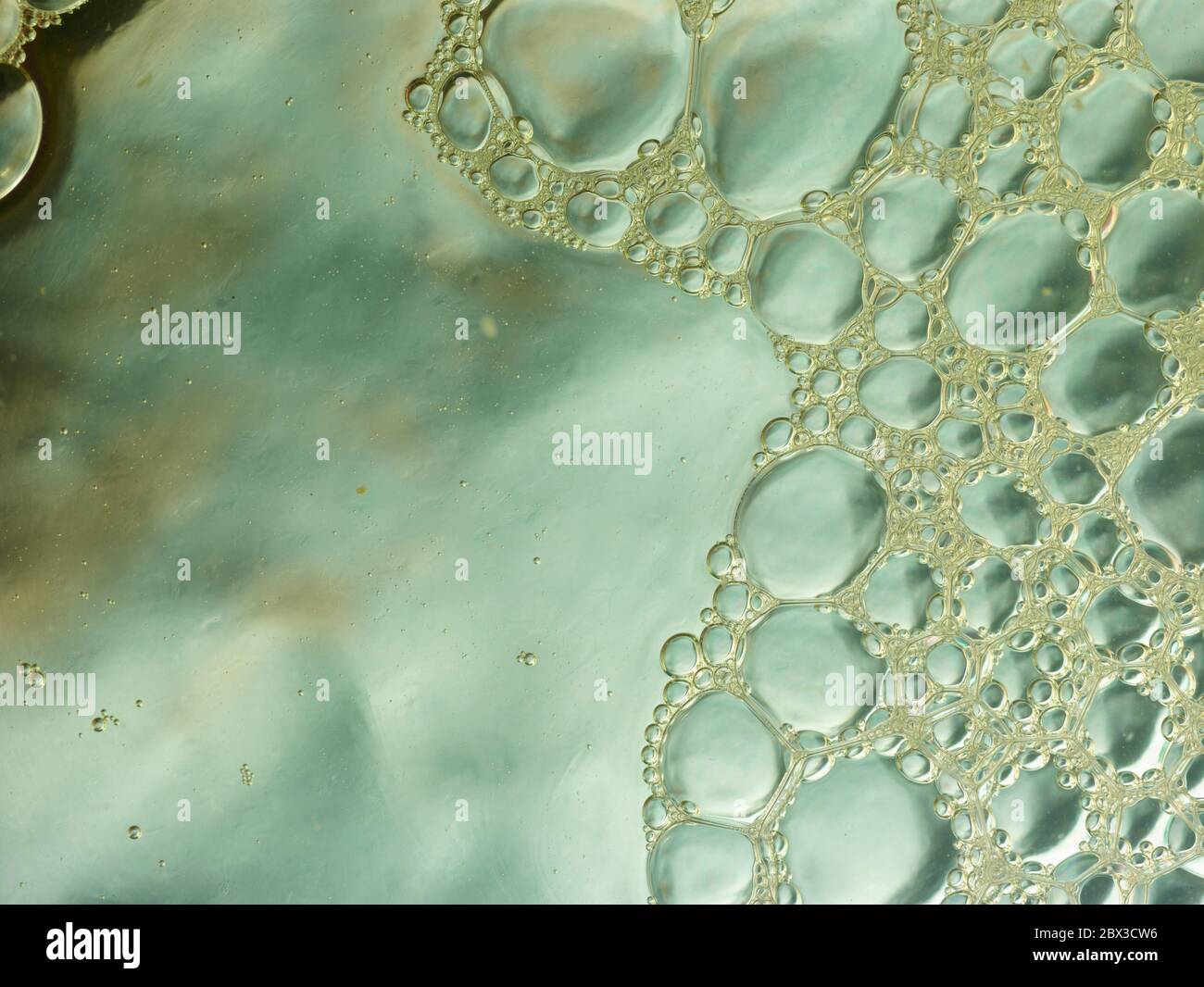 Colourful bubbles still=life symbolising the myriad patterns of human ...