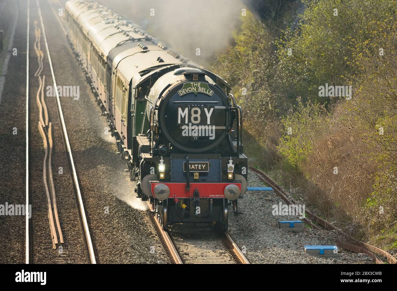 Devon belle hi-res stock photography and images - Alamy