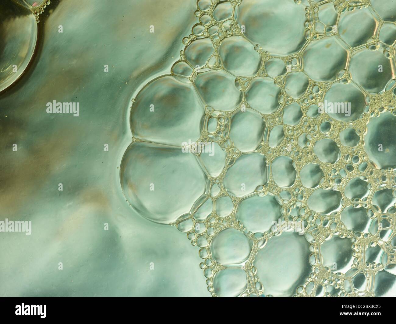 Colourful bubbles still=life symbolising the myriad patterns of human ...