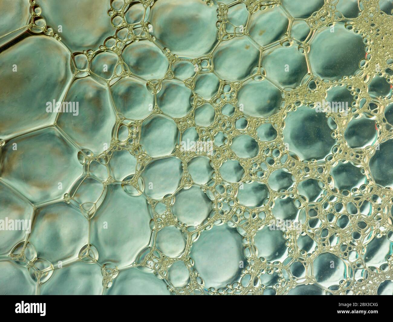 Colourful bubbles still=life symbolising the myriad patterns of human ...