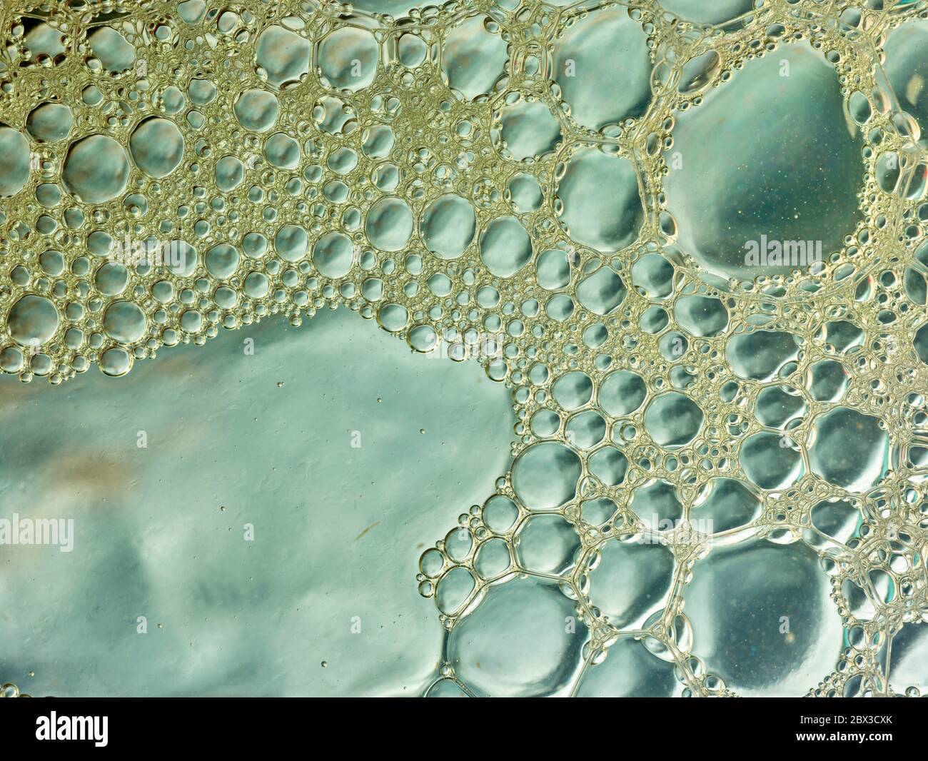 Colourful bubbles still=life symbolising the myriad patterns of human ...