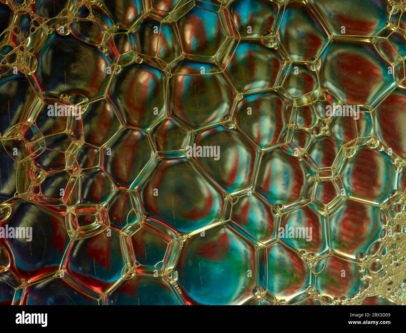 Colourful bubbles still=life symbolising the myriad patterns of human ...