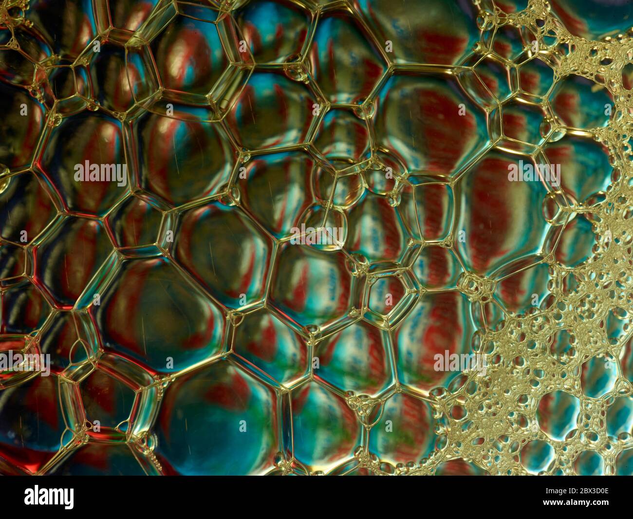 Transient beings hi-res stock photography and images - Alamy