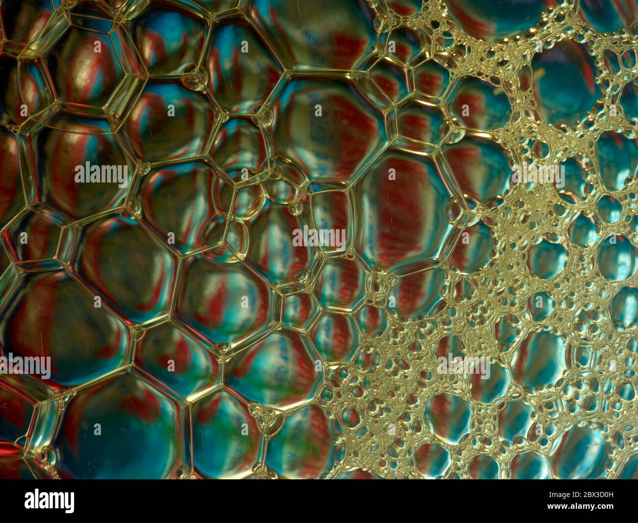 Colourful bubbles still=life symbolising the myriad patterns of human ...