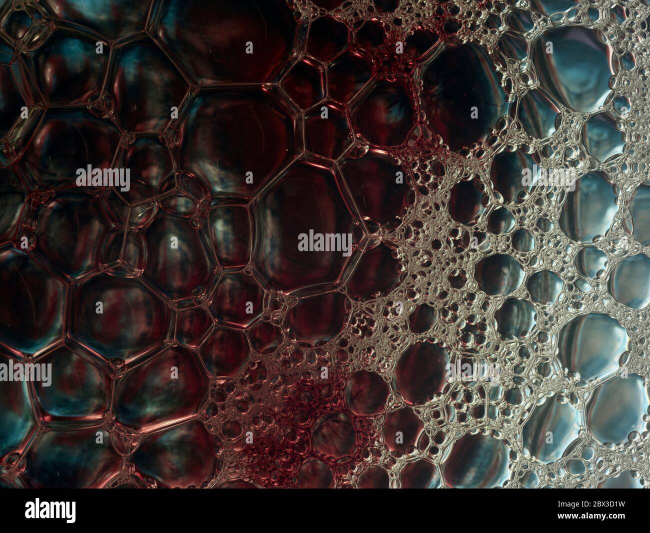 Colourful bubbles still=life symbolising the myriad patterns of human ...