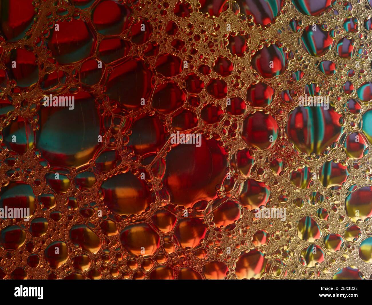 Colourful bubbles still=life symbolising the myriad patterns of human ...