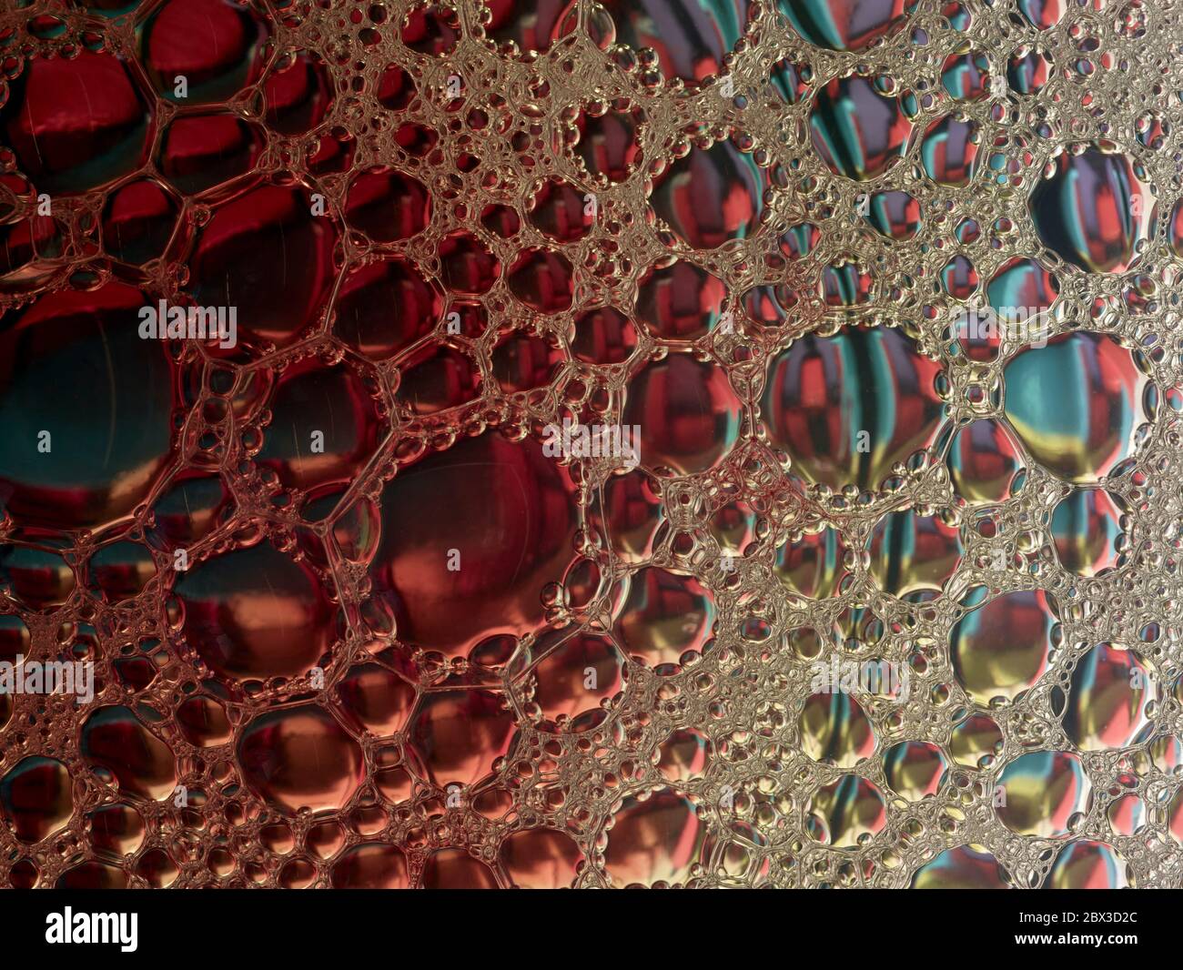 Colourful bubbles still=life symbolising the myriad patterns of human ...