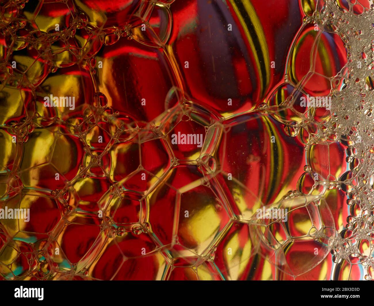 Colourful bubbles still=life symbolising the myriad patterns of human ...