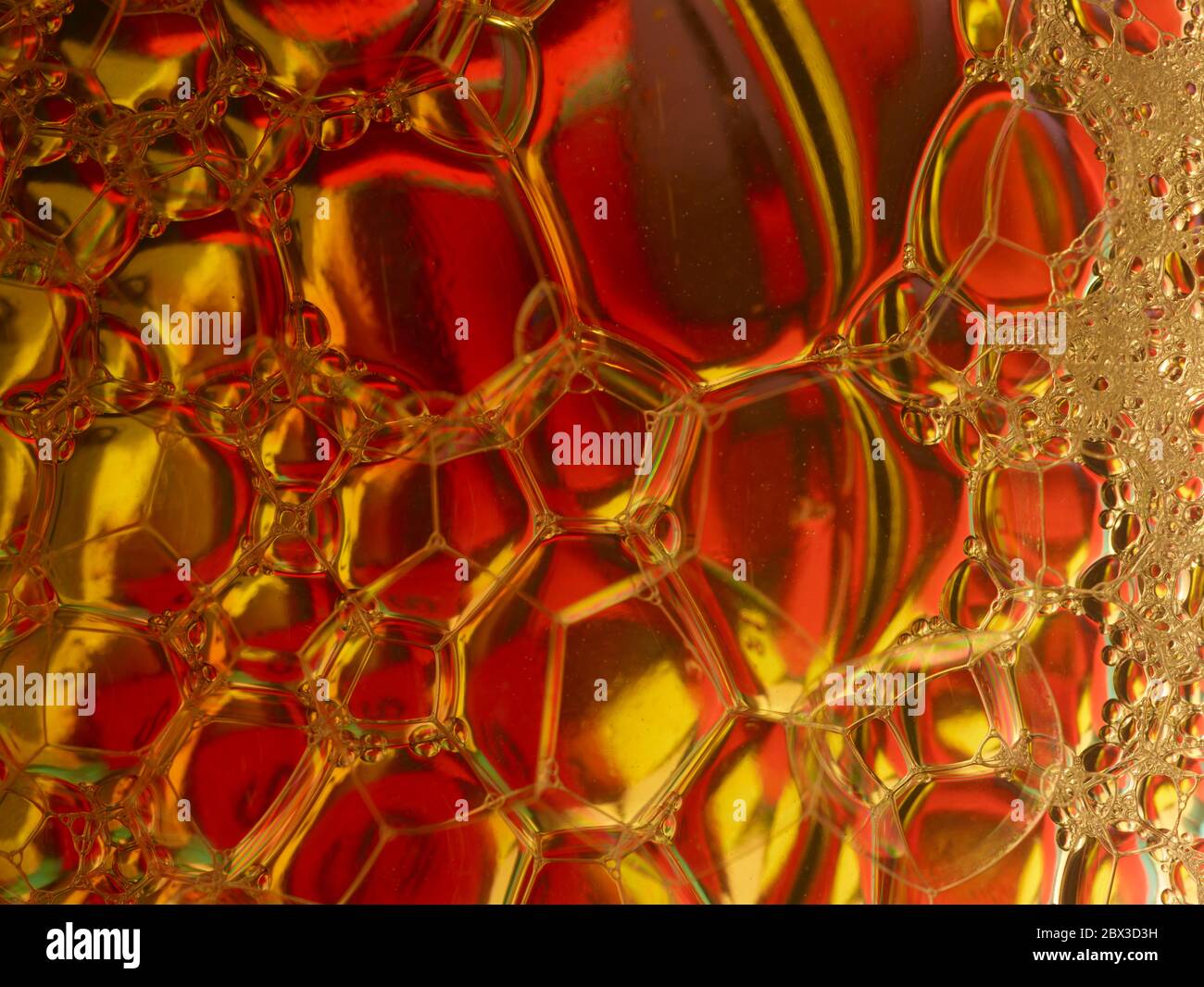 Colourful bubbles still=life symbolising the myriad patterns of human ...
