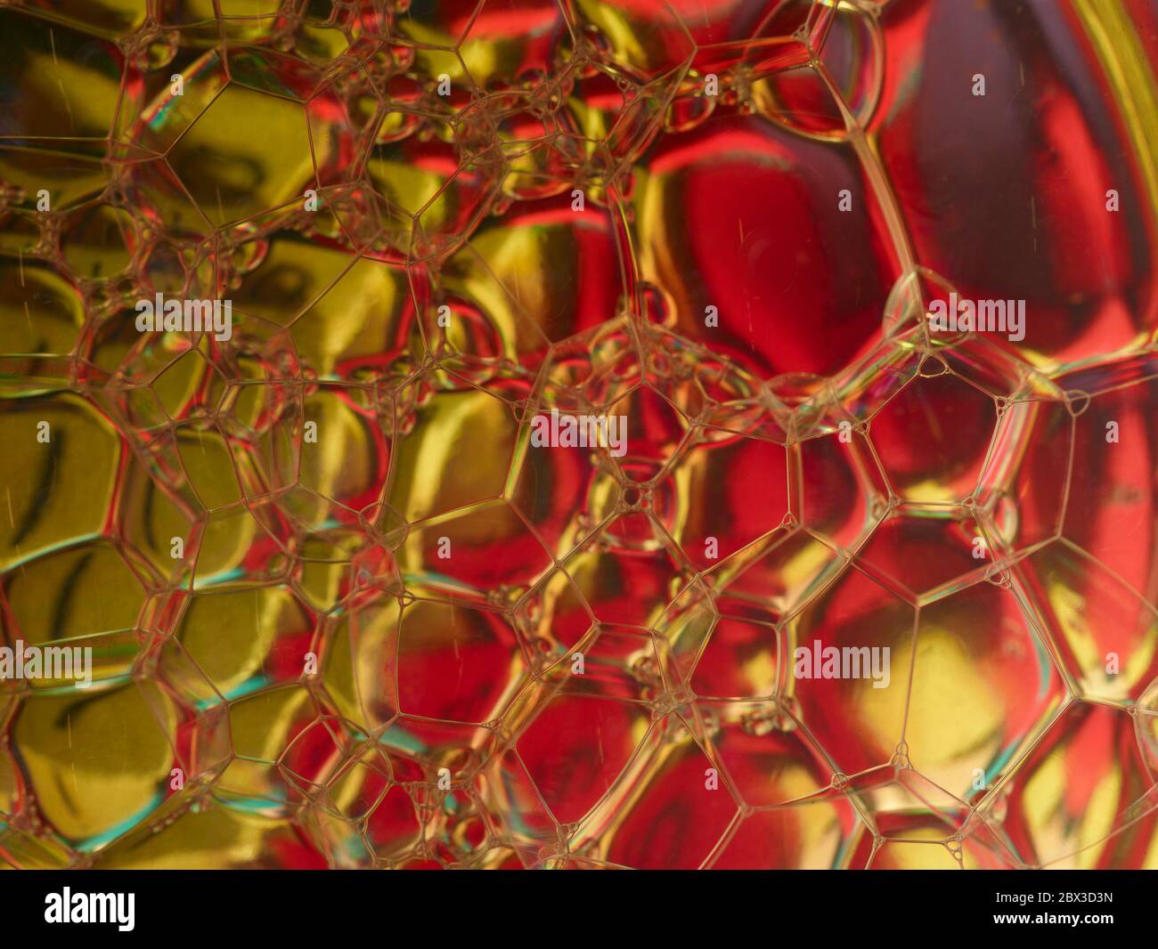 Colourful bubbles still=life symbolising the myriad patterns of human ...
