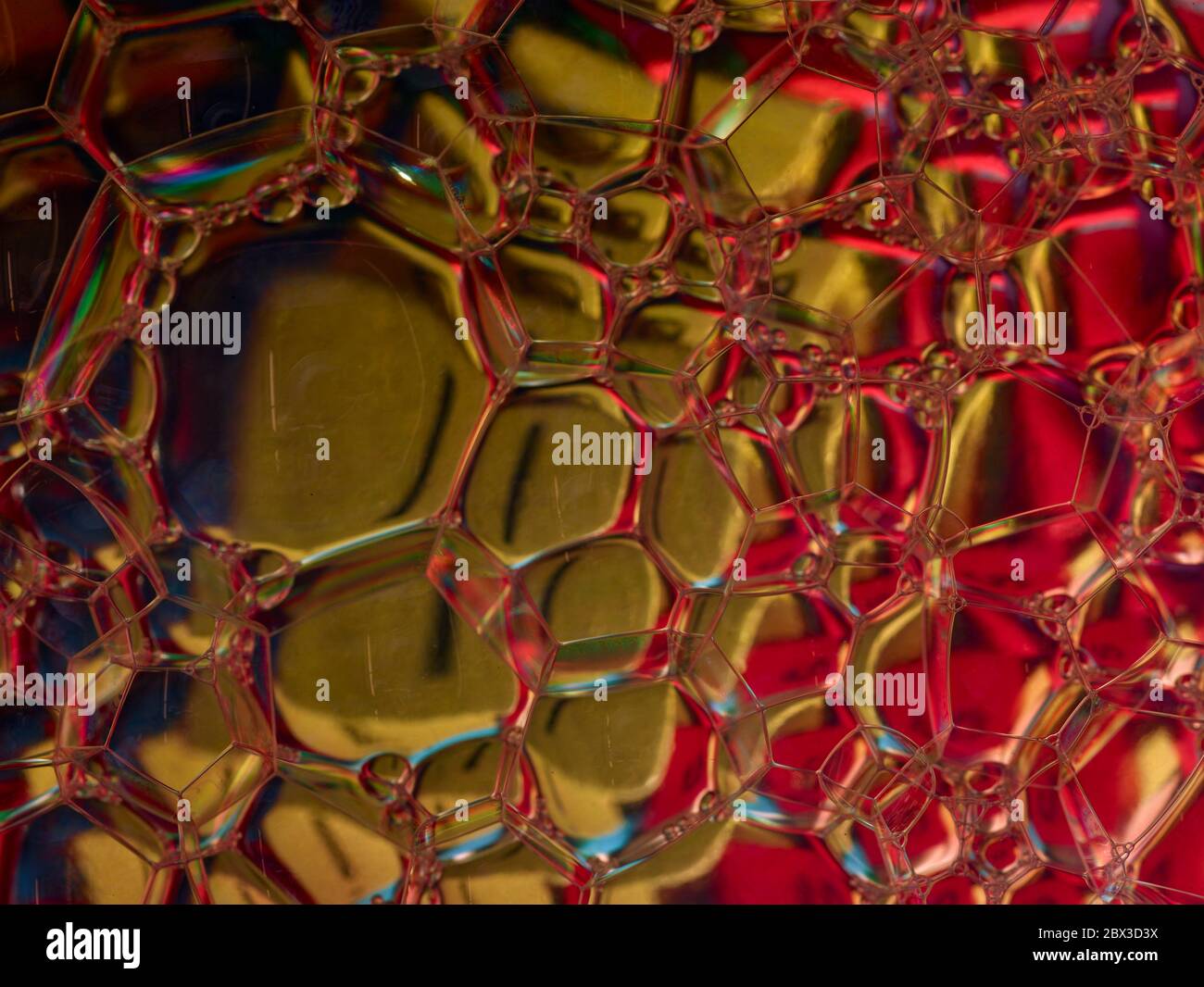 Colourful bubbles still=life symbolising the myriad patterns of human ...