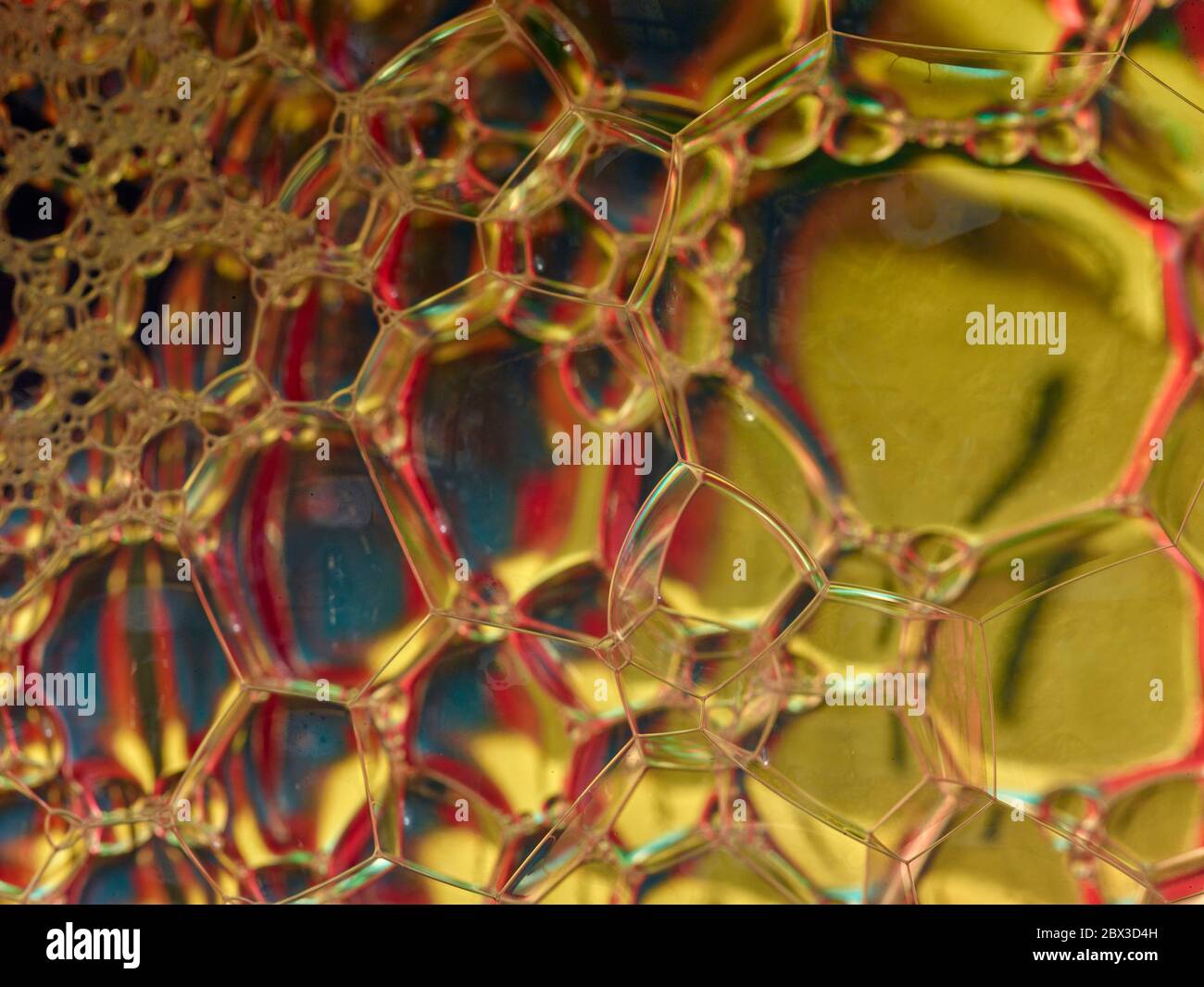 Colourful bubbles still=life symbolising the myriad patterns of human ...