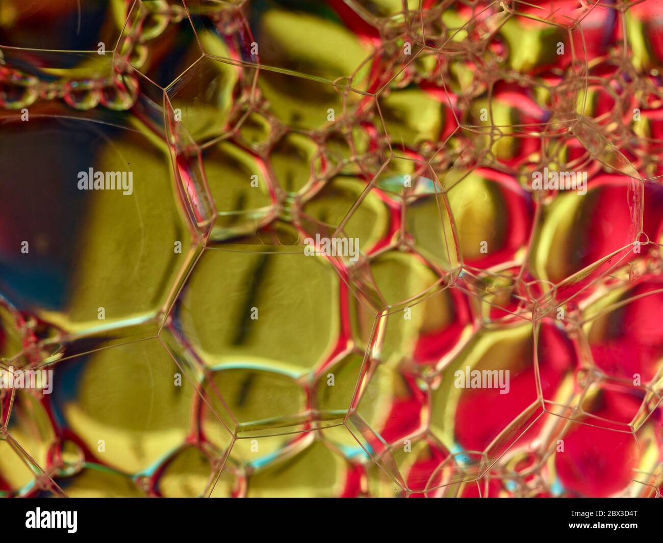 Colourful bubbles still=life symbolising the myriad patterns of human ...