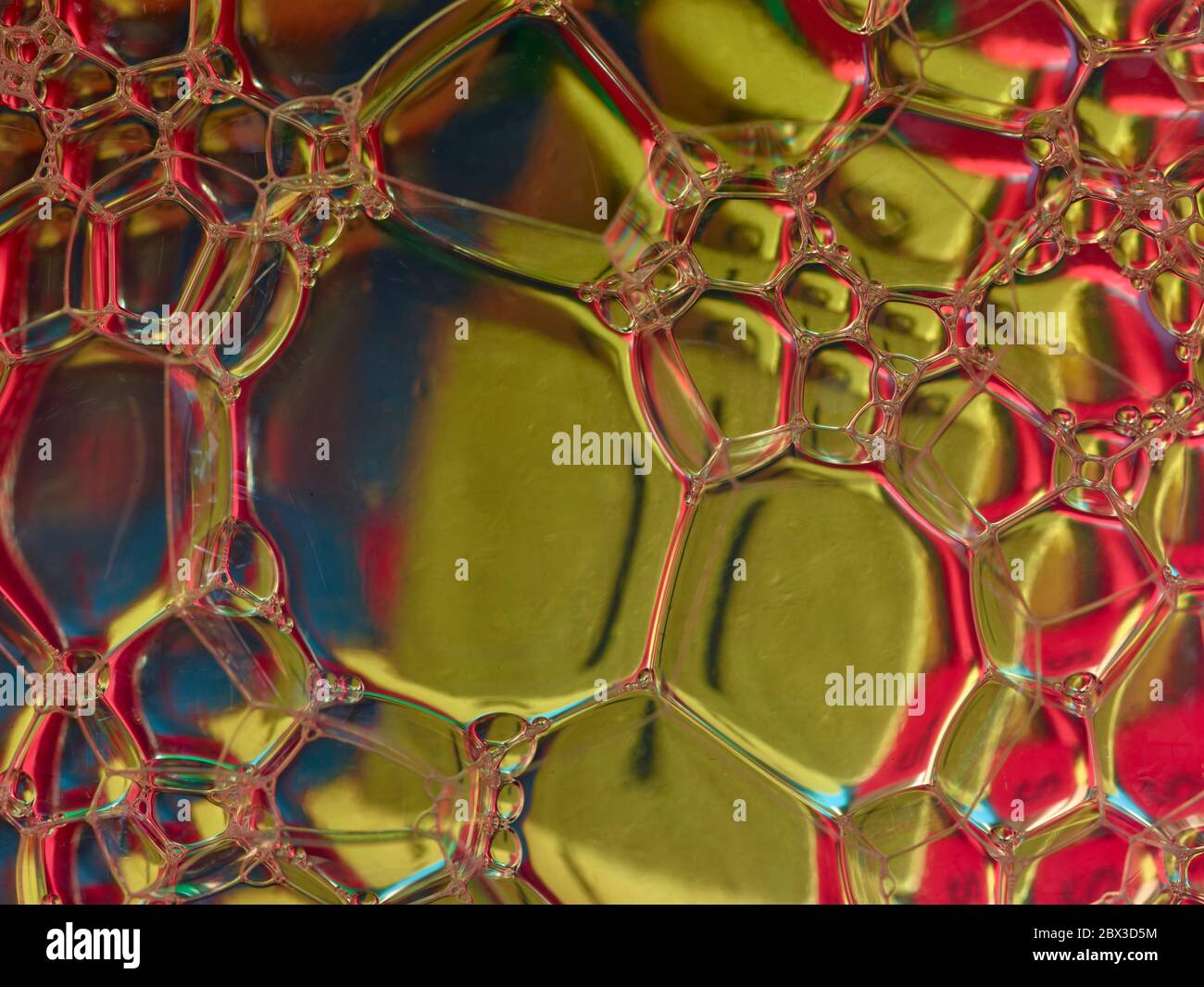 Colourful bubbles still=life symbolising the myriad patterns of human ...