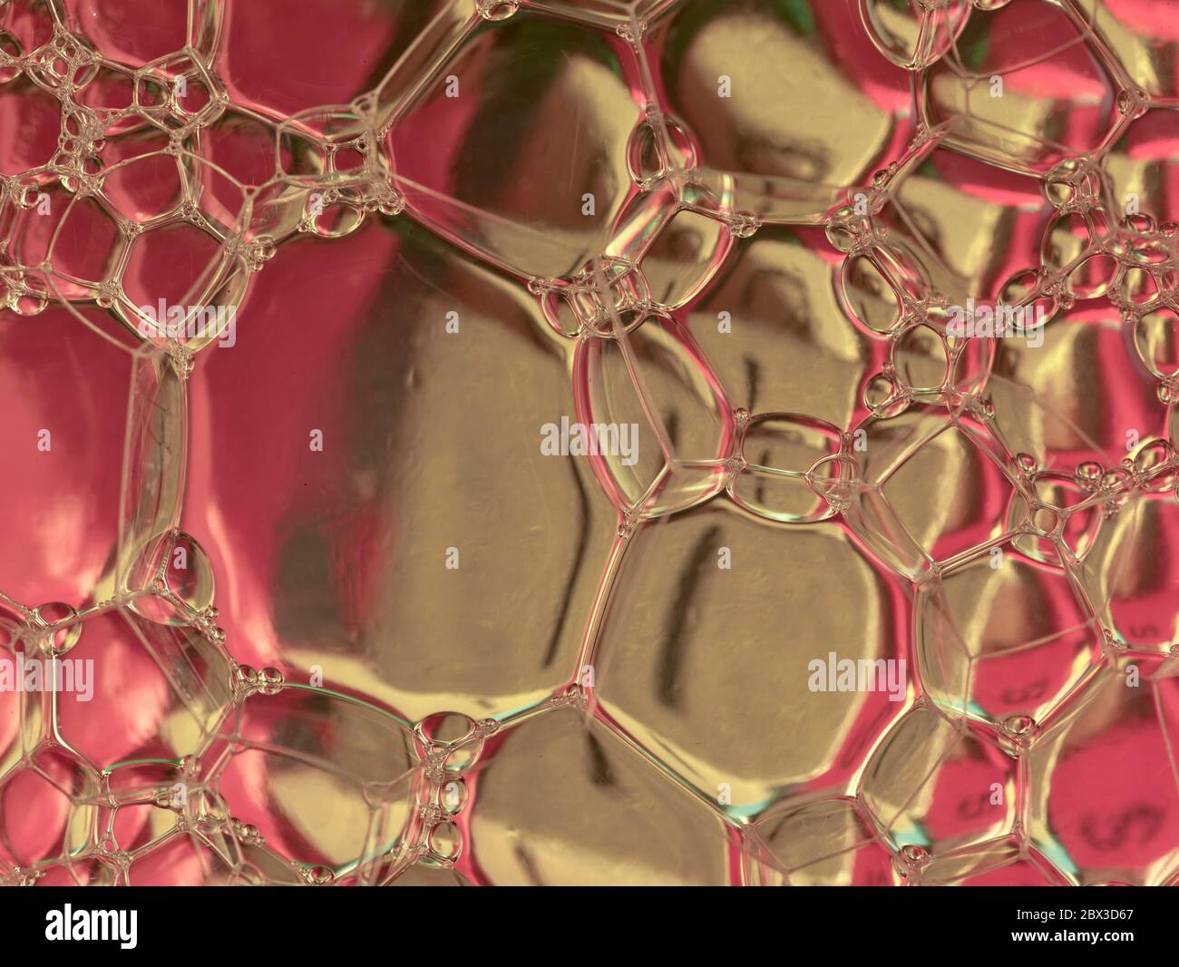 Colourful bubbles still=life symbolising the myriad patterns of human ...