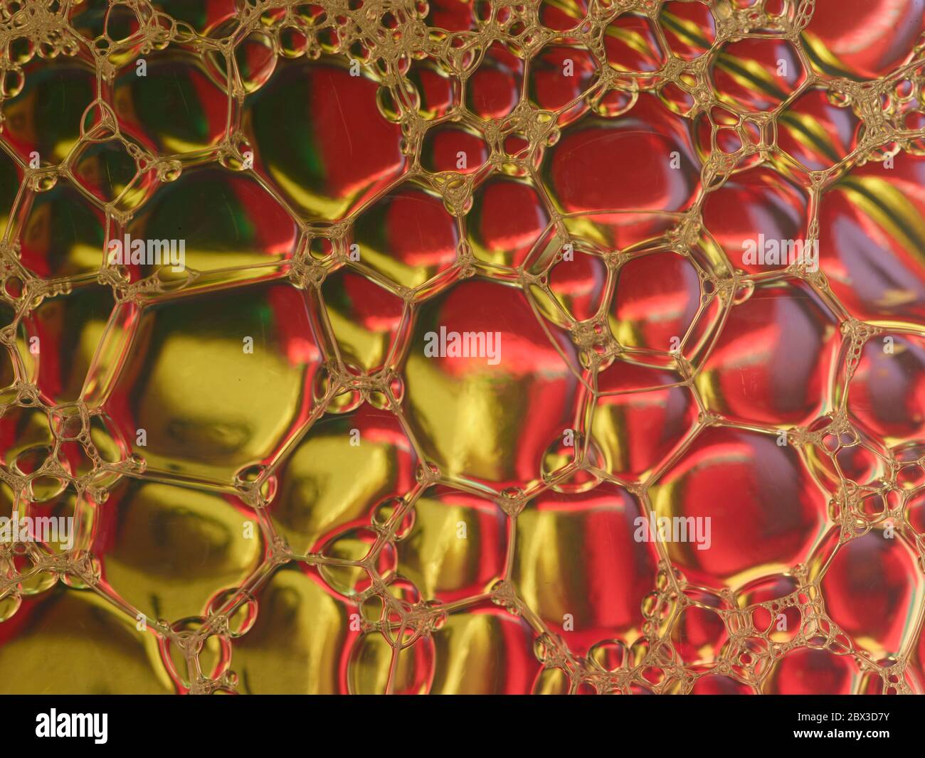 Colourful bubbles still=life symbolising the myriad patterns of human ...