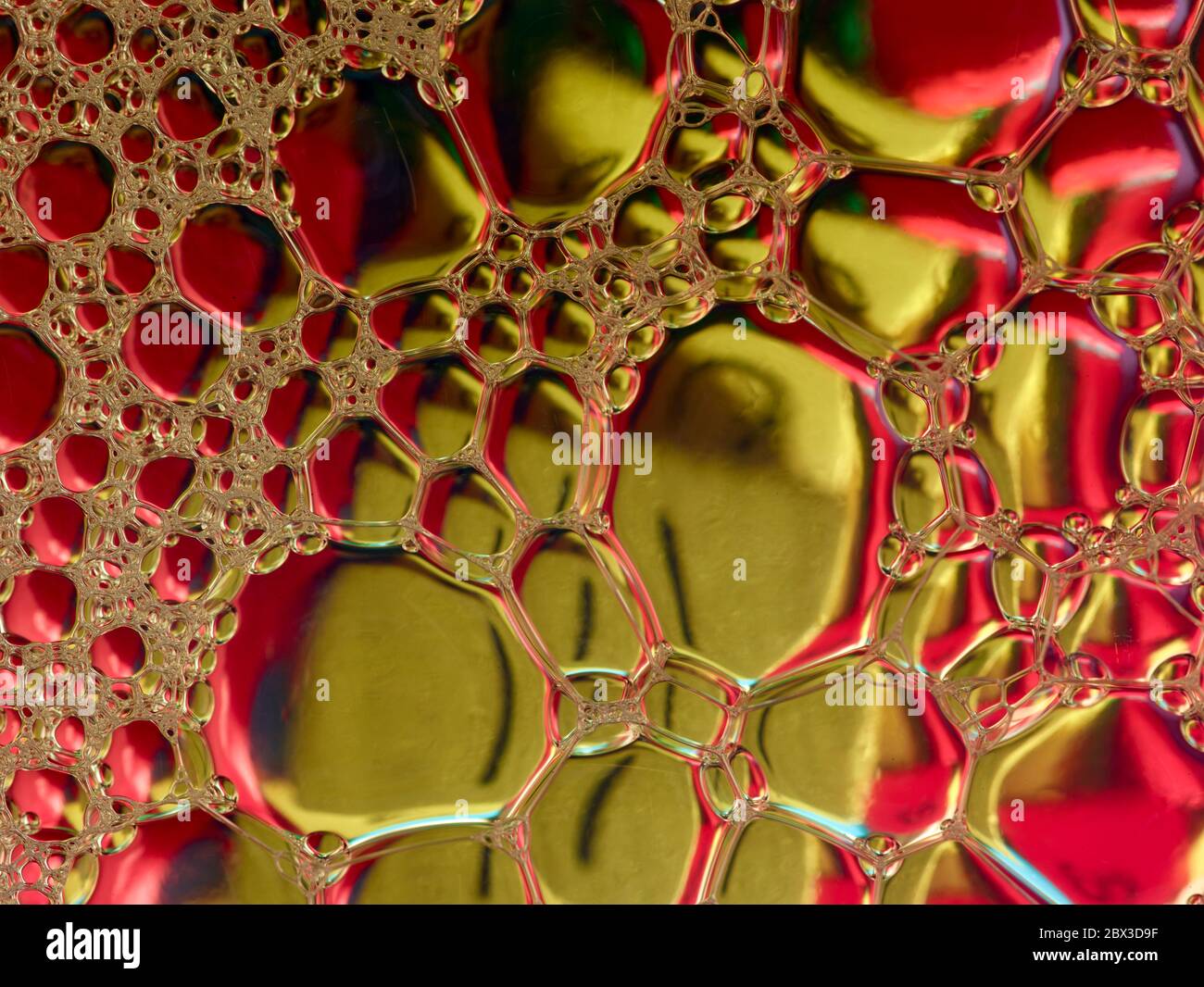 Colourful bubbles still=life symbolising the myriad patterns of human ...