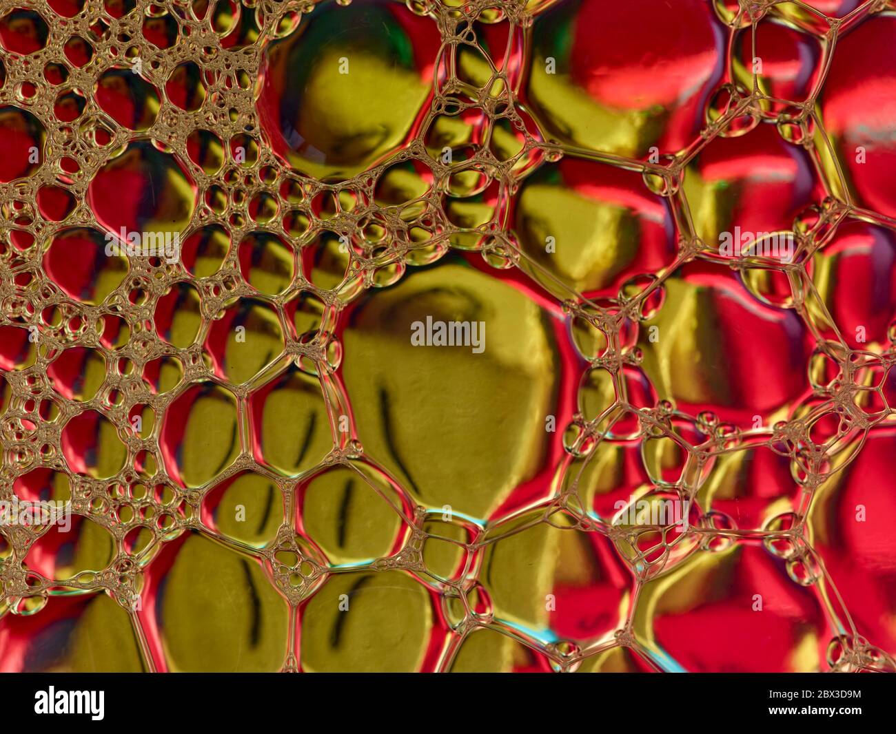 Colourful bubbles still=life symbolising the myriad patterns of human ...