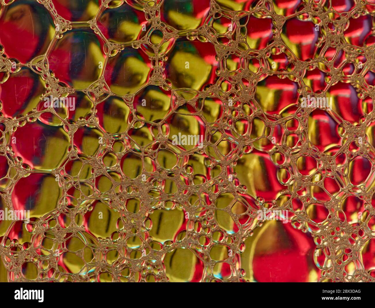 Colourful bubbles still=life symbolising the myriad patterns of human ...