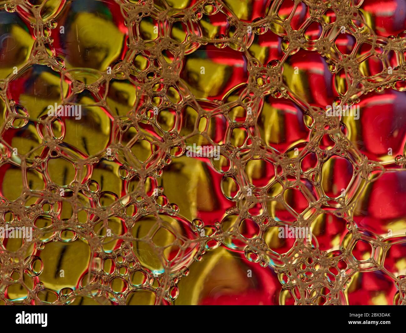 Colourful bubbles still=life symbolising the myriad patterns of human ...