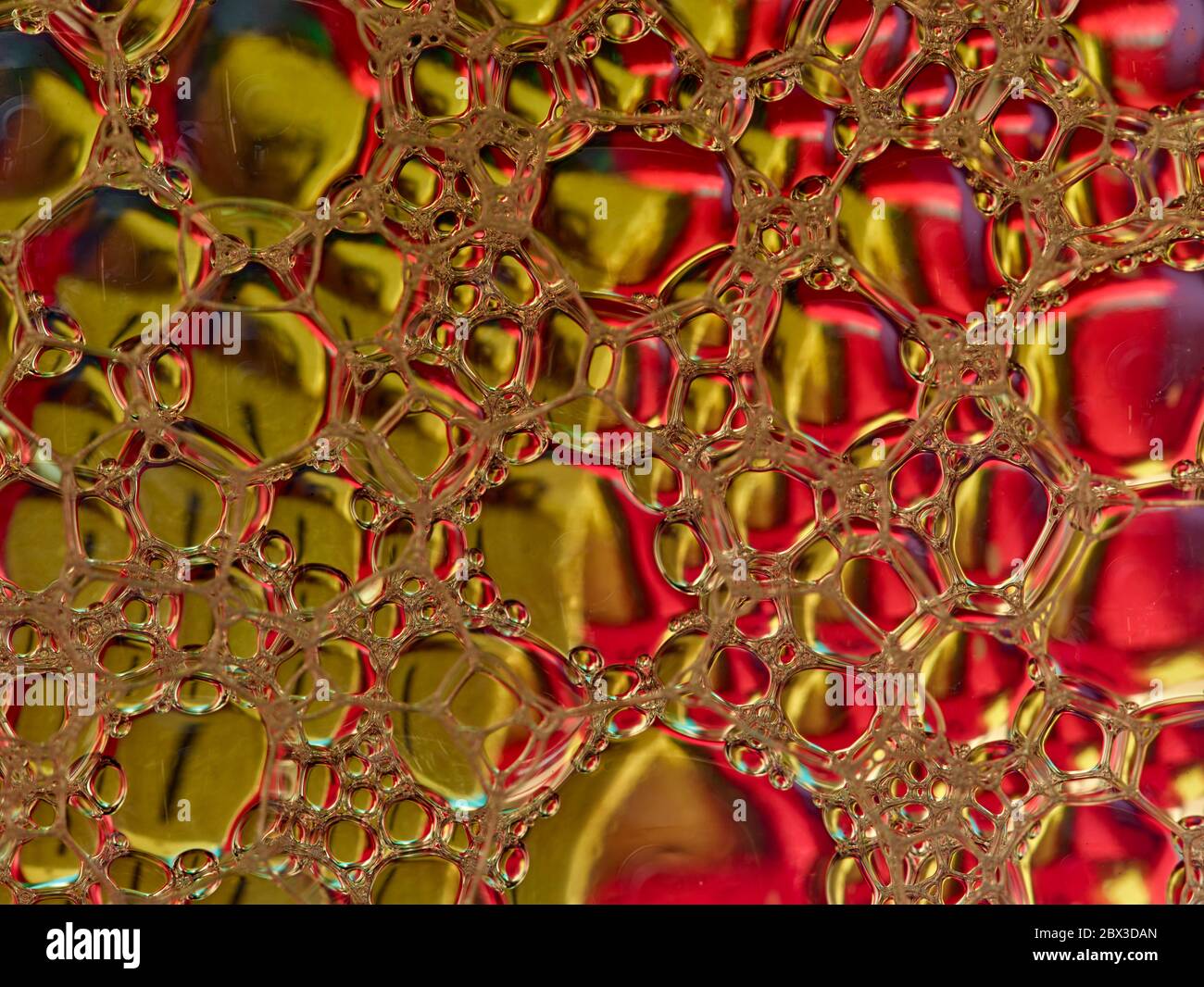 Colourful bubbles still=life symbolising the myriad patterns of human ...