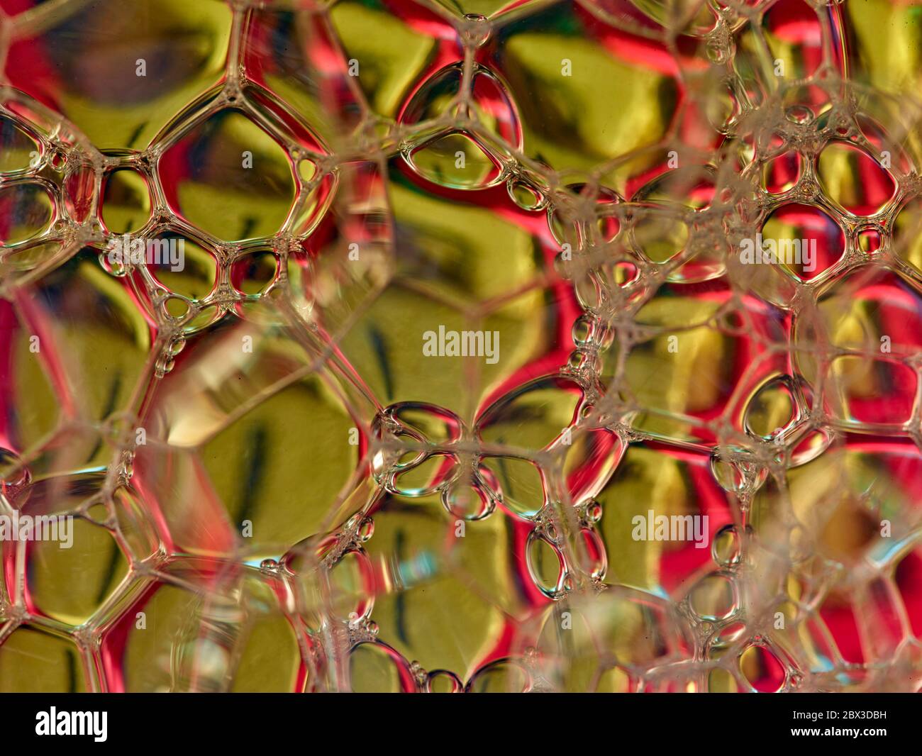 Colourful bubbles still=life symbolising the myriad patterns of human ...