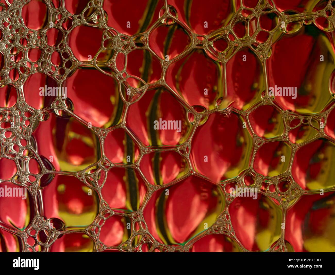 Abstract colourful still-life of bubbles and the patterns and ...