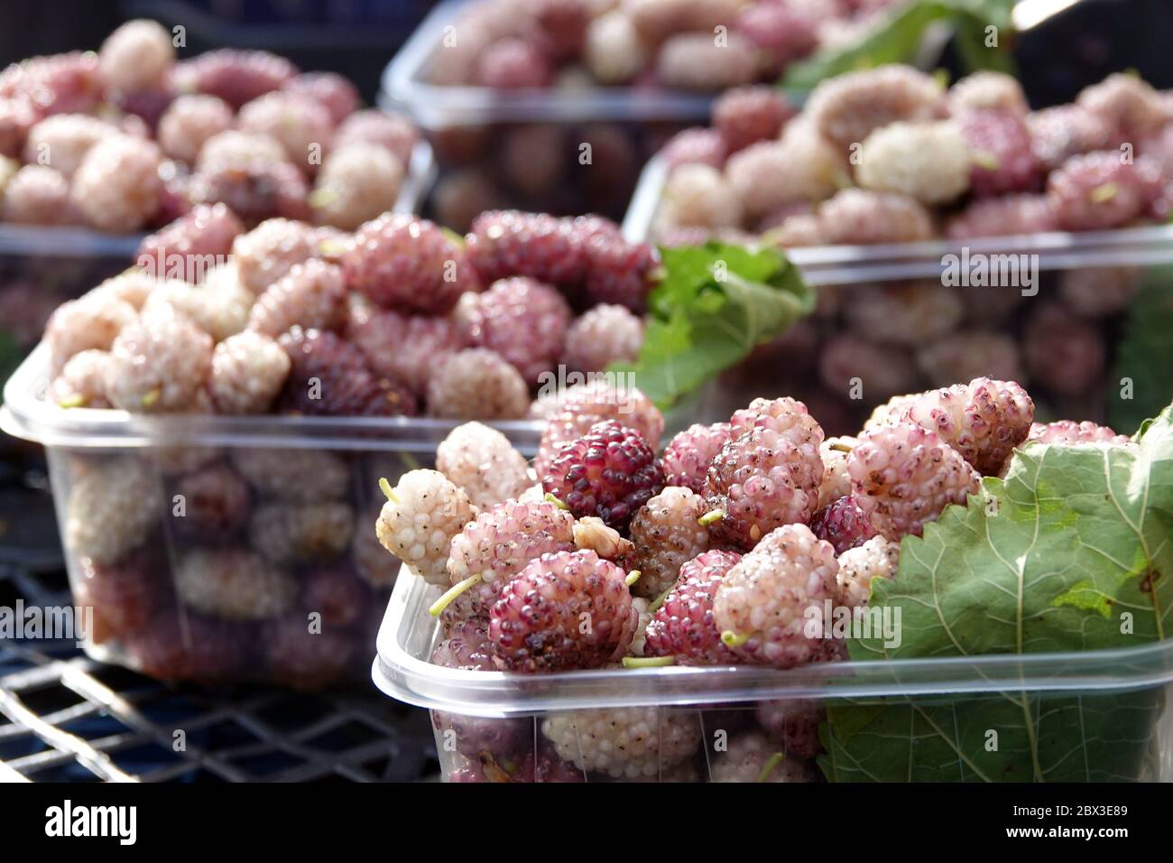 Organic Juicy and Looks Delicious Mulberry in Grocery Stock Photo - Alamy