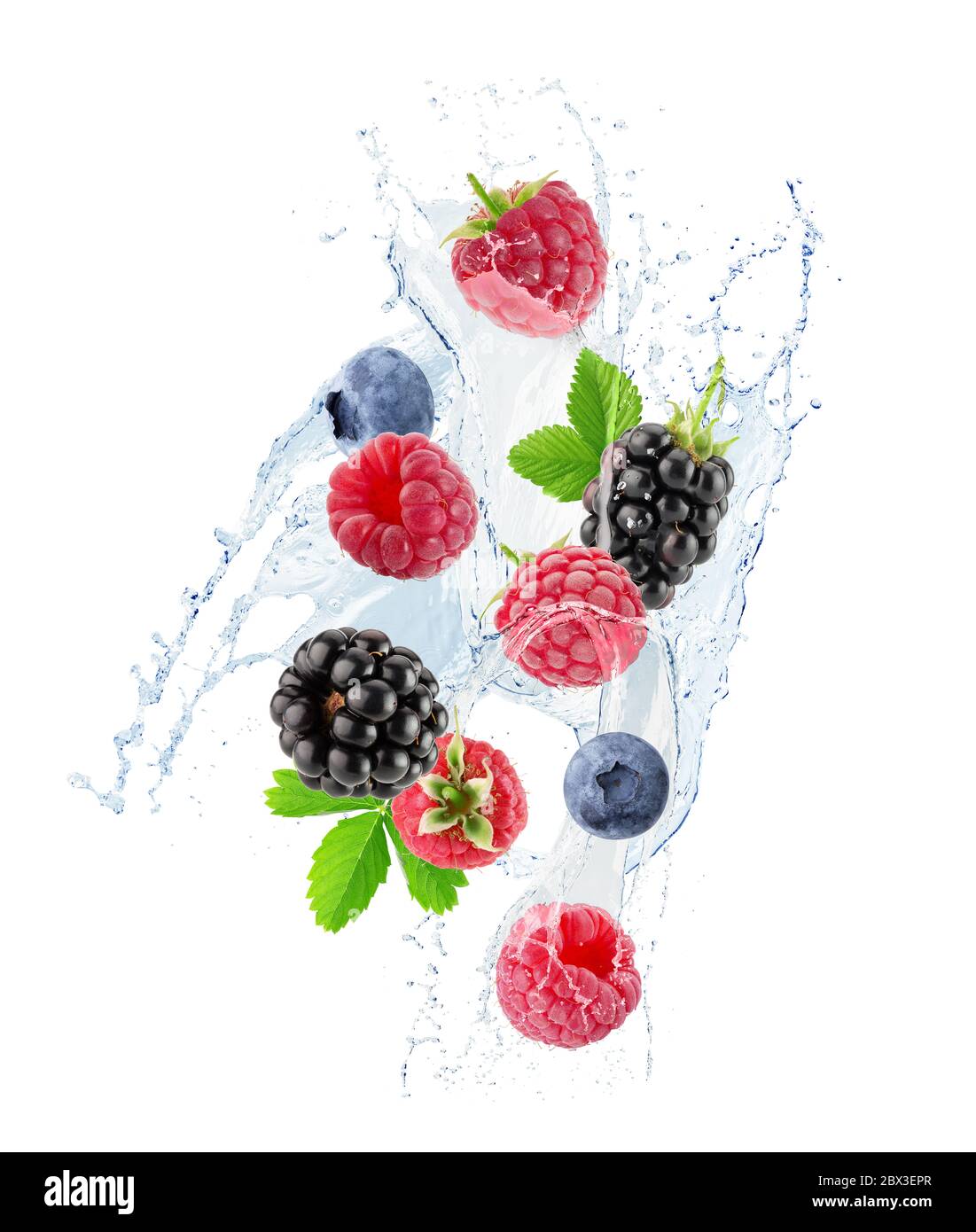 berry mix in water splash isolated on a white background Stock Photo ...