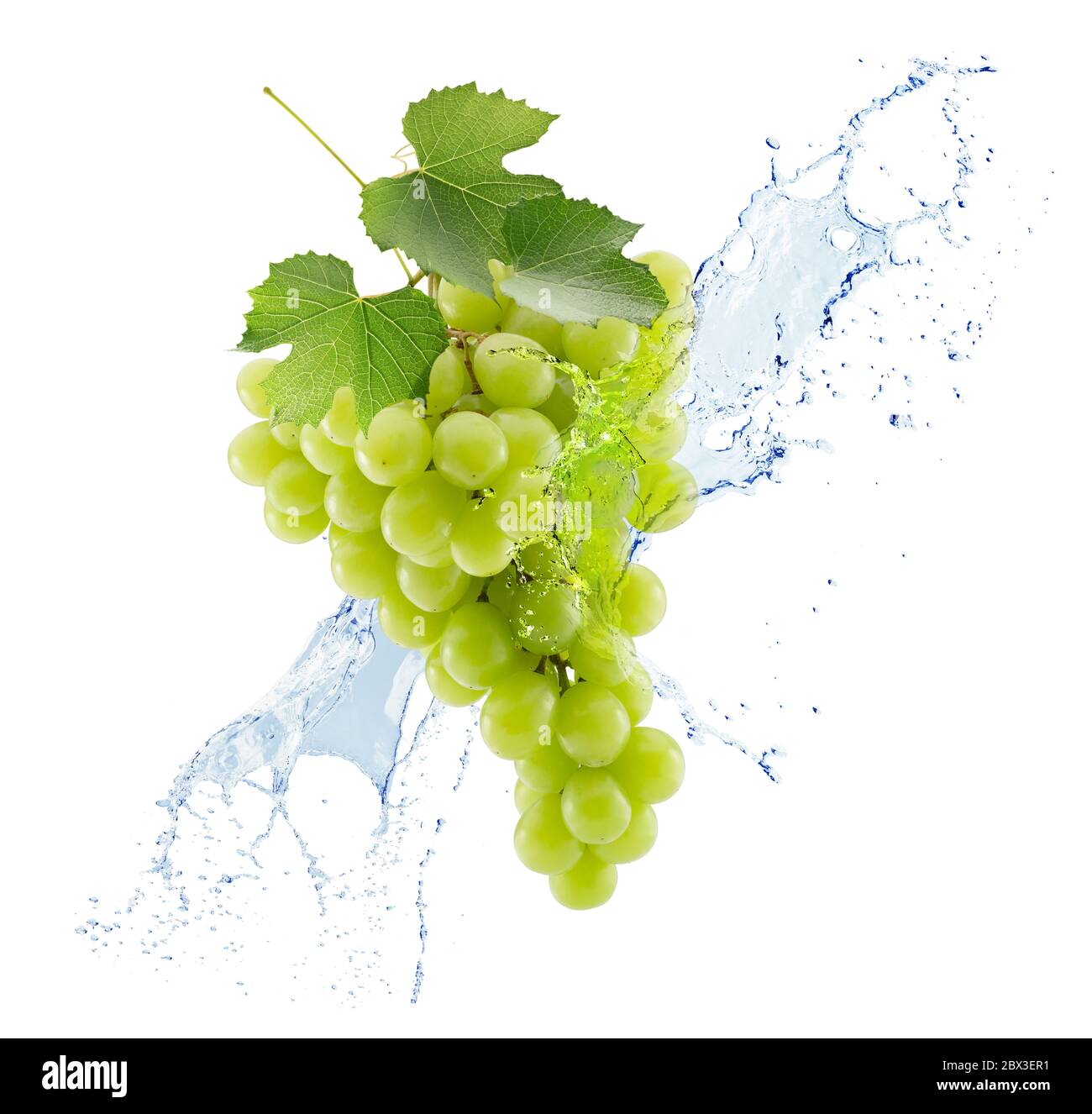 green grapes in water splash isolated on a white background Stock Photo ...
