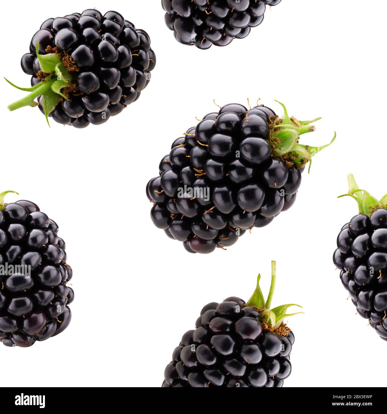 Bramble pattern hi-res stock photography and images - Alamy